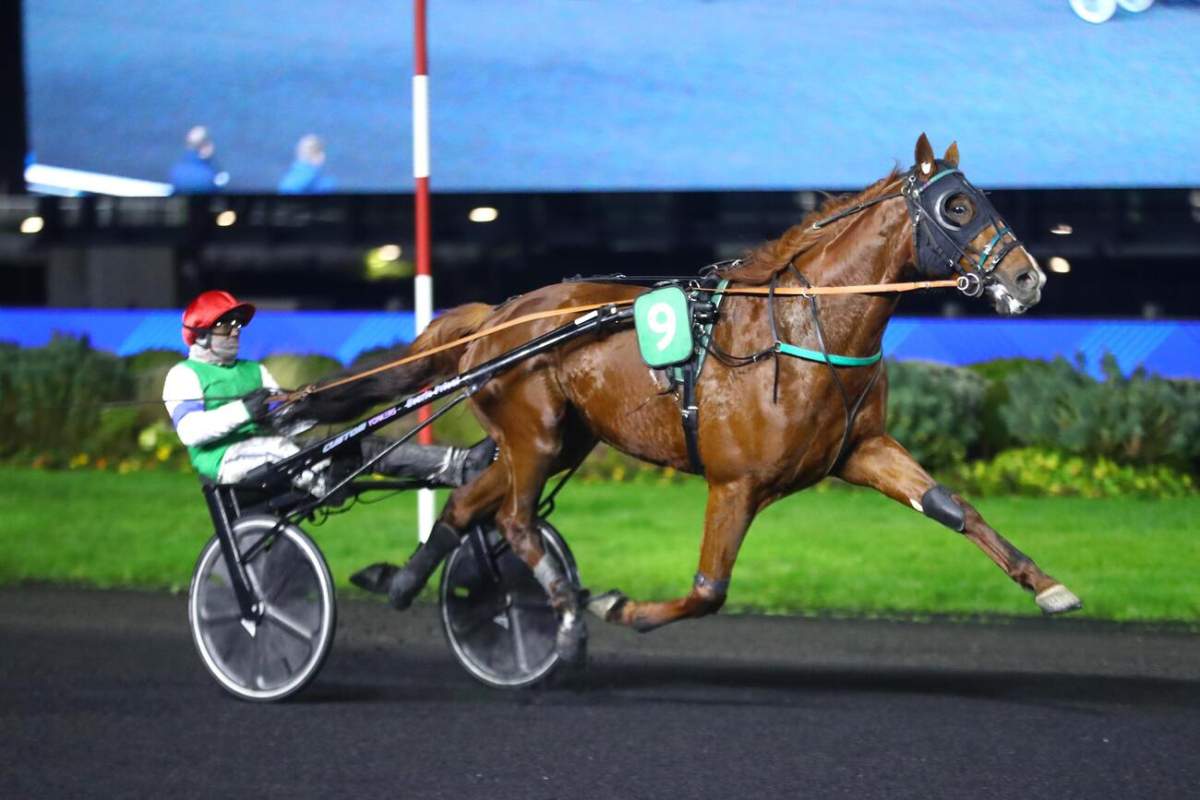 Les actualités hippiques et PMU : articles presse turf - CANAL TURF