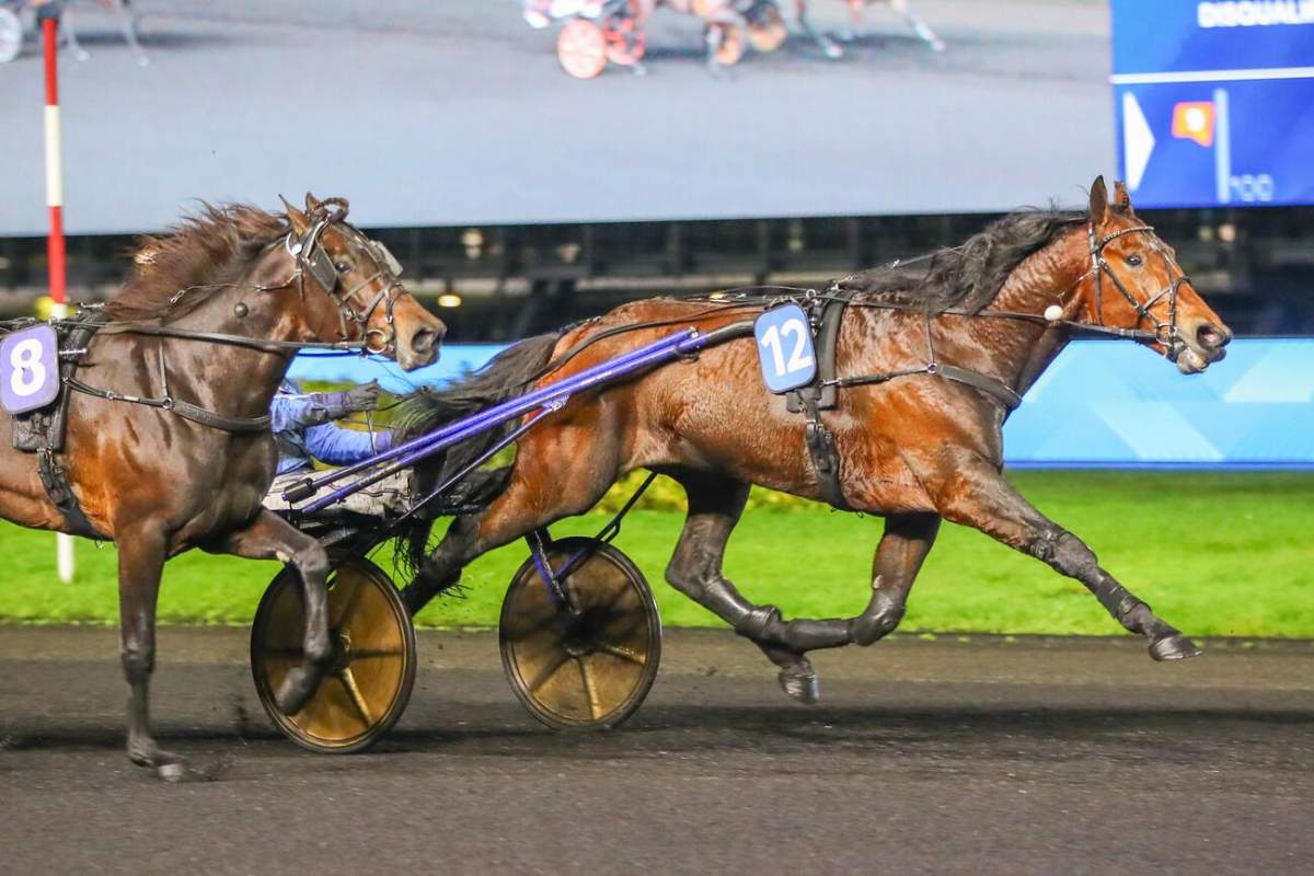 Pronostic Quinté PMU du PRIX TENOR DE BAUNE - AMERIQUE RACES Q4 du 21 ...