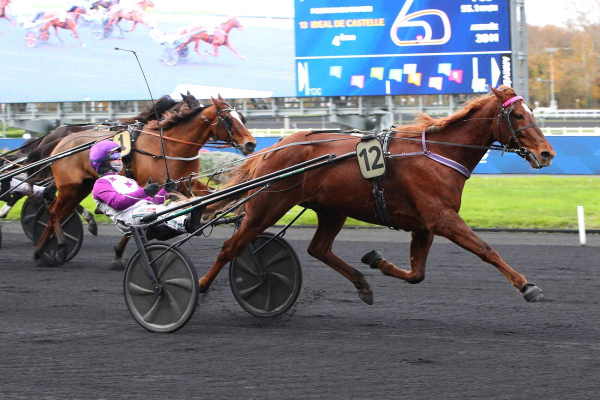 Résultat et rapports Quinté+ Pmu Prix Des Alpes à PARIS-VINCENNES le 01 ...