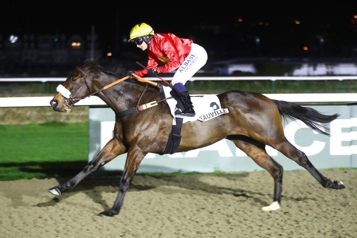 Pronostic Quinté PMU du PRIX DE LA FORET DE CHANTILLY du 19 mai 2026