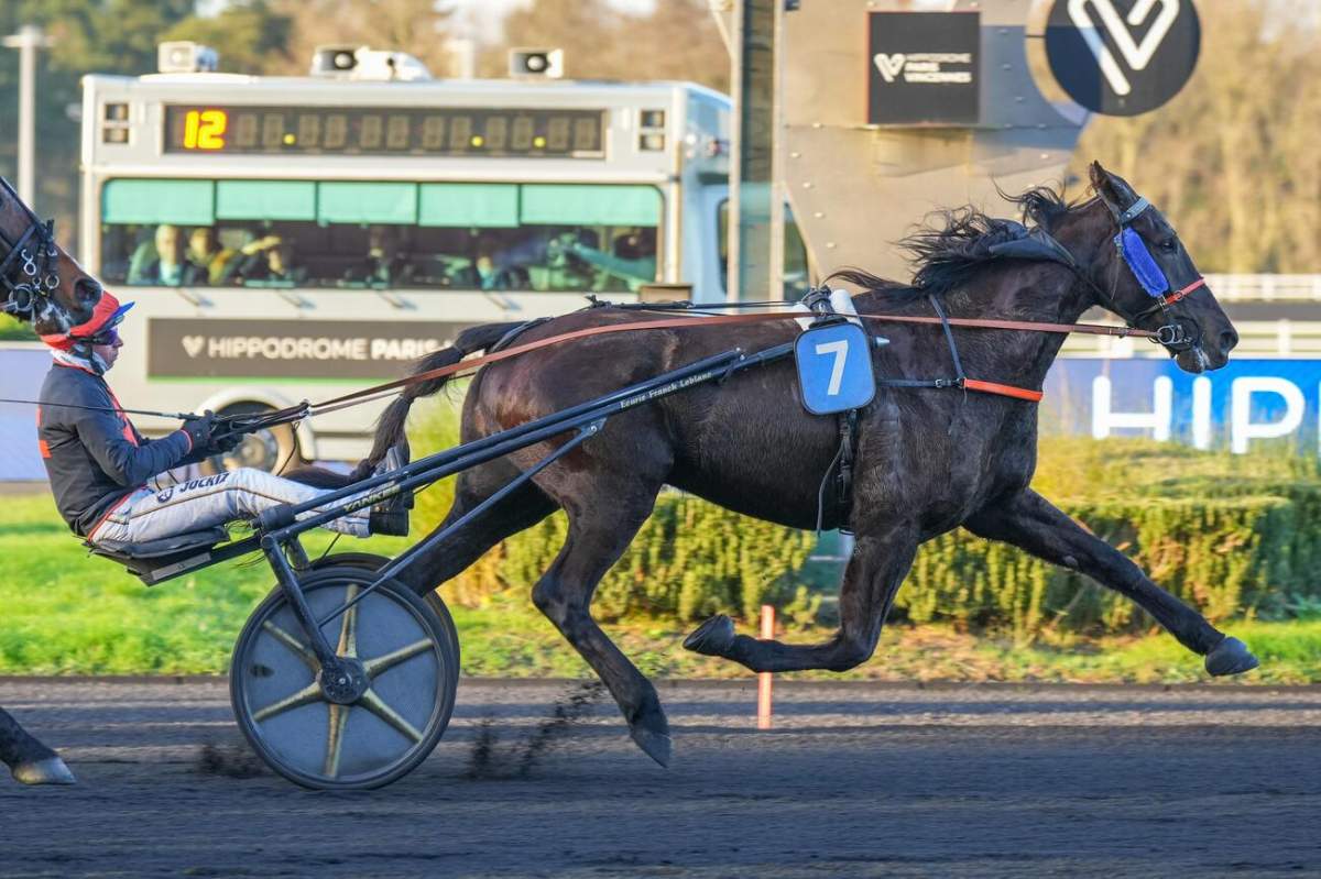 Pronostic gratuit du PRIX DE TOULOUSE - 11 janv. 2026 par Canalturf