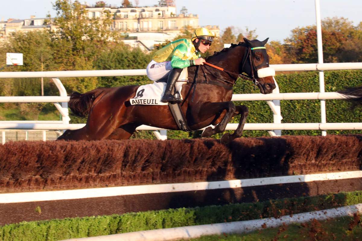 Pronostic gratuit Quinté+ Prix de Pau, jeudi 10/04/2025, à Auteuil ...