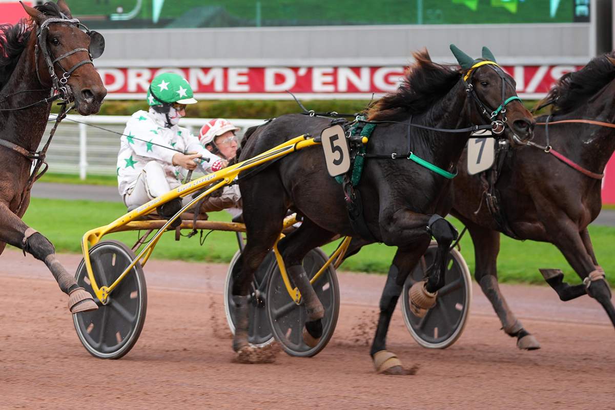 MONA LISA ELLIS - La fiche CANALTURF du cheval, performances pmu ...