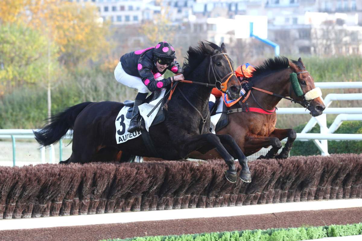 MEME PAS KAP - La fiche CANALTURF du cheval, performances pmu, pédigré ...