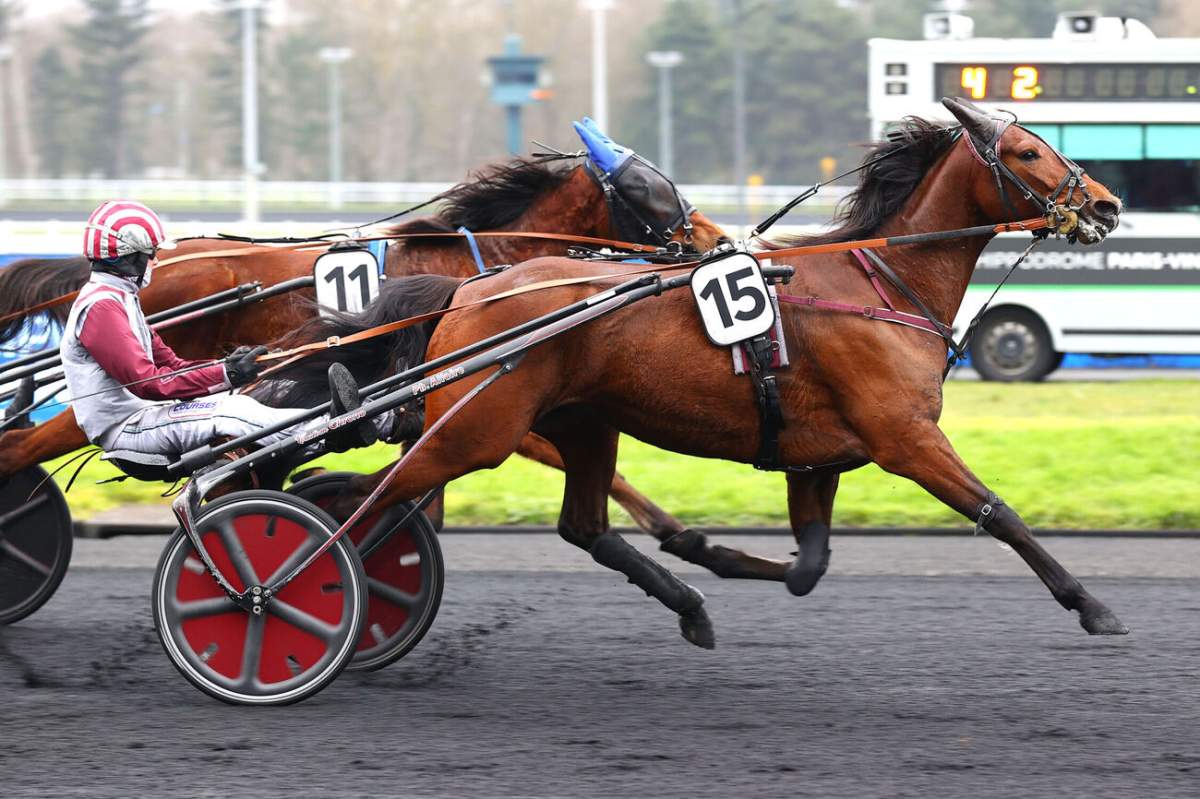 Arrivée PMU Prix Guy Deloison (Gr. II), dimanche à Vincennes. MAGIC ...
