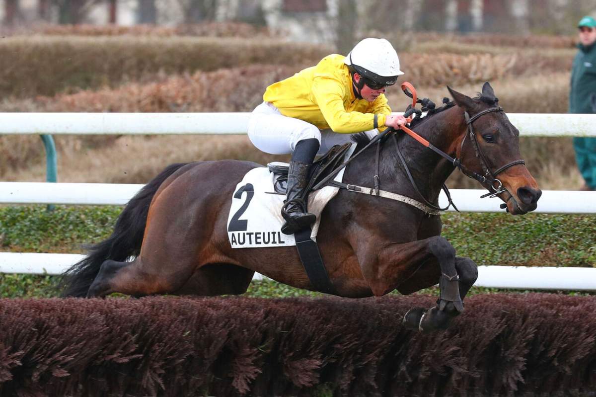 MESSY - La fiche CANALTURF du cheval, performances pmu, pédigré ...