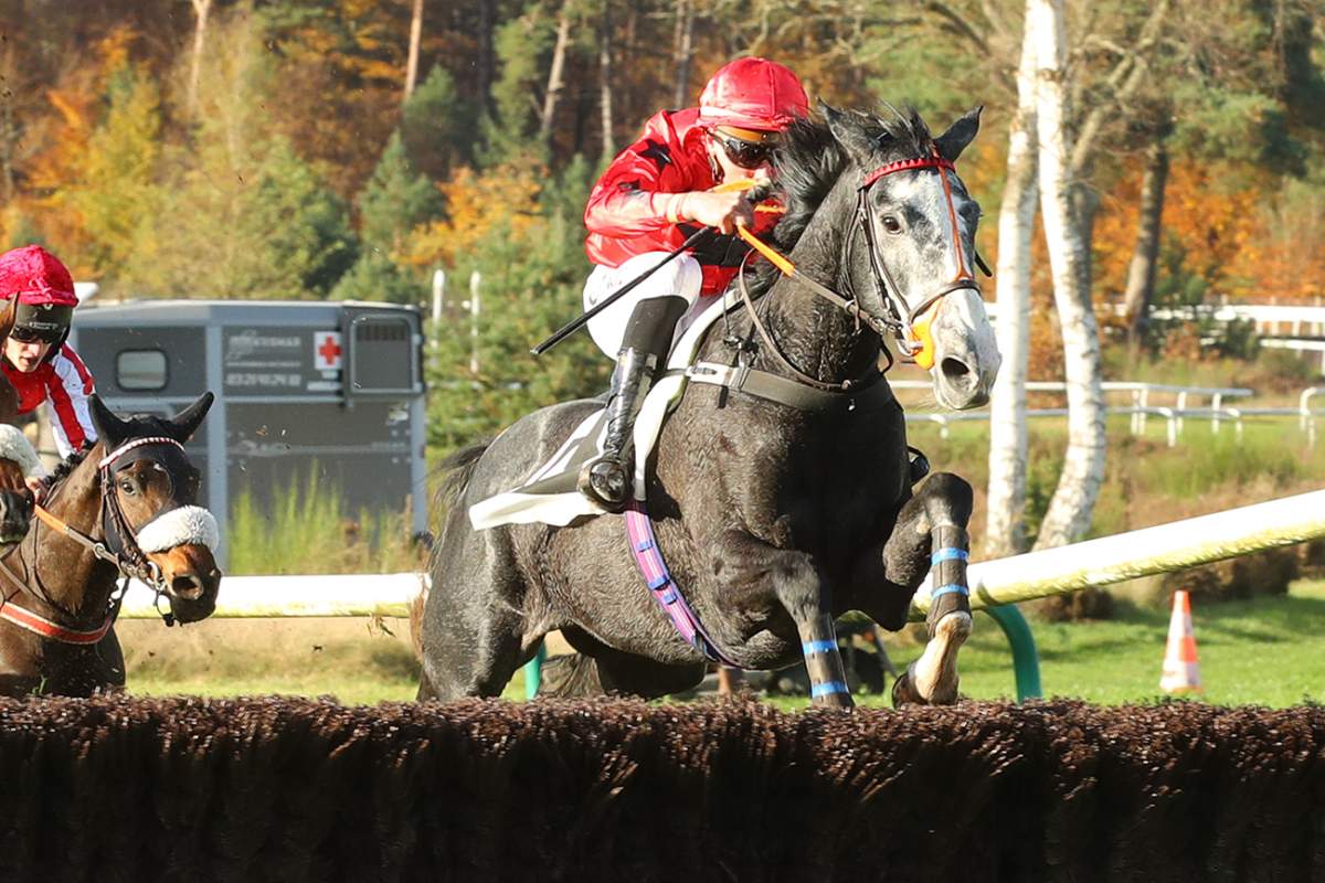 Pronostic gratuit du PRIX ALEC CARTER - 14 mars 2026 par Canalturf