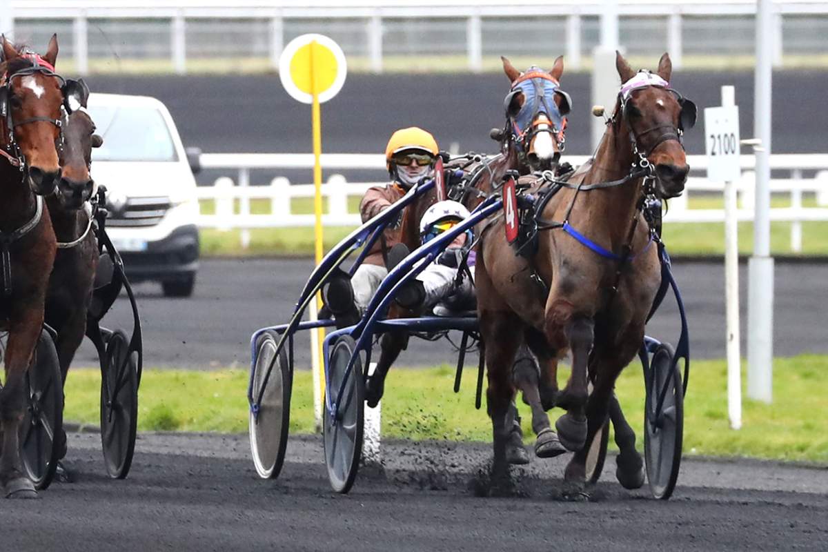 GISARO - La fiche CANALTURF du cheval, performances pmu, pédigré ...