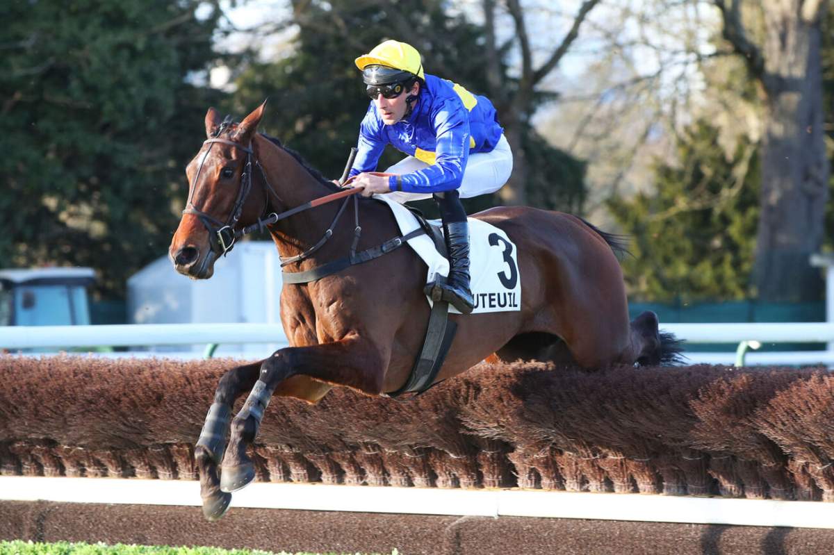 LORD BRETT - La fiche CANALTURF du cheval, performances pmu, pédigré ...