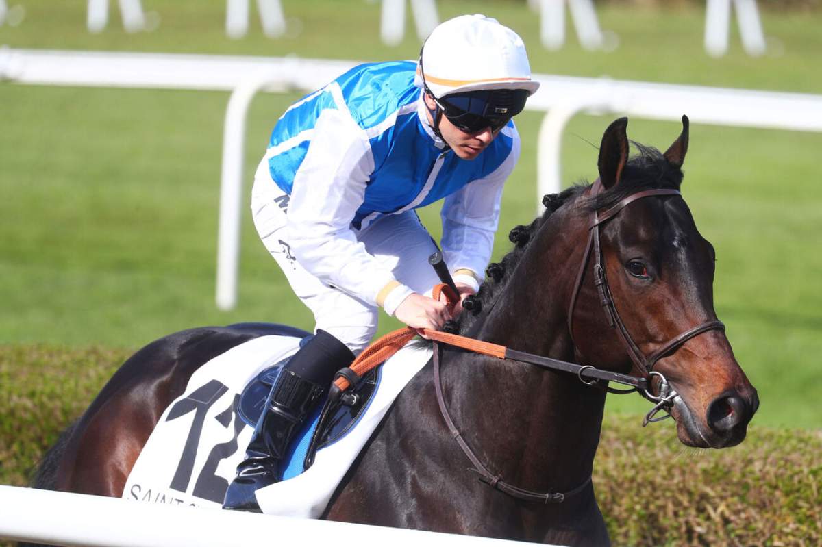 Pronostic gratuit du PRIX DU LYS LONGINES - 15 juin 2025 par Canalturf