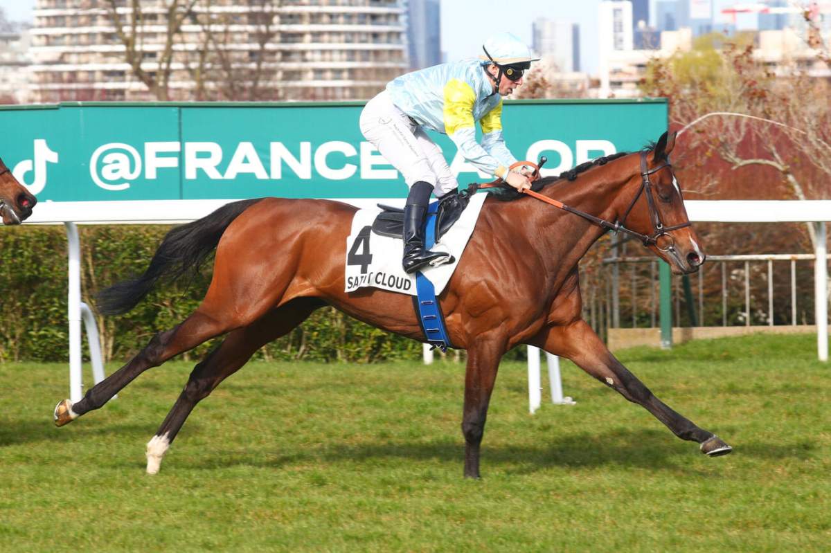 DANARA - La fiche CANALTURF du cheval, performances pmu, pédigré ...