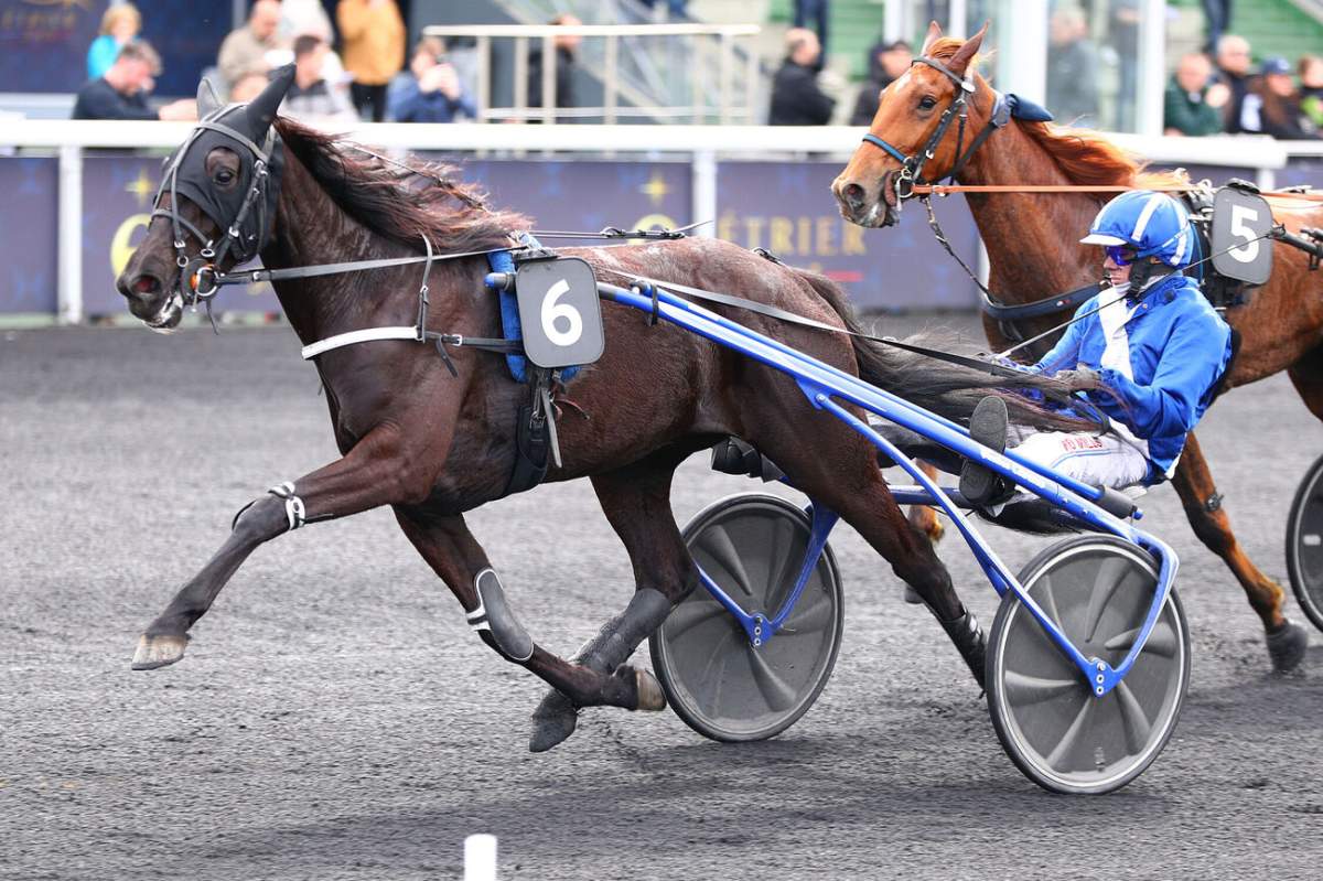Arrivée PMU Prix de Troyes (Gr. III), dimanche à Vincennes. MY PRINCESS ...