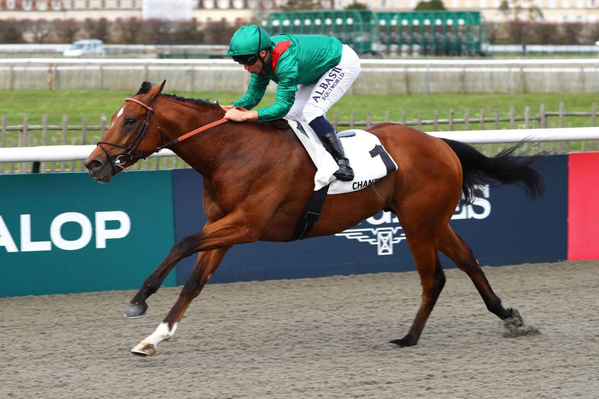 ZALARI - La fiche CANALTURF du cheval, performances pmu, pédigré ...