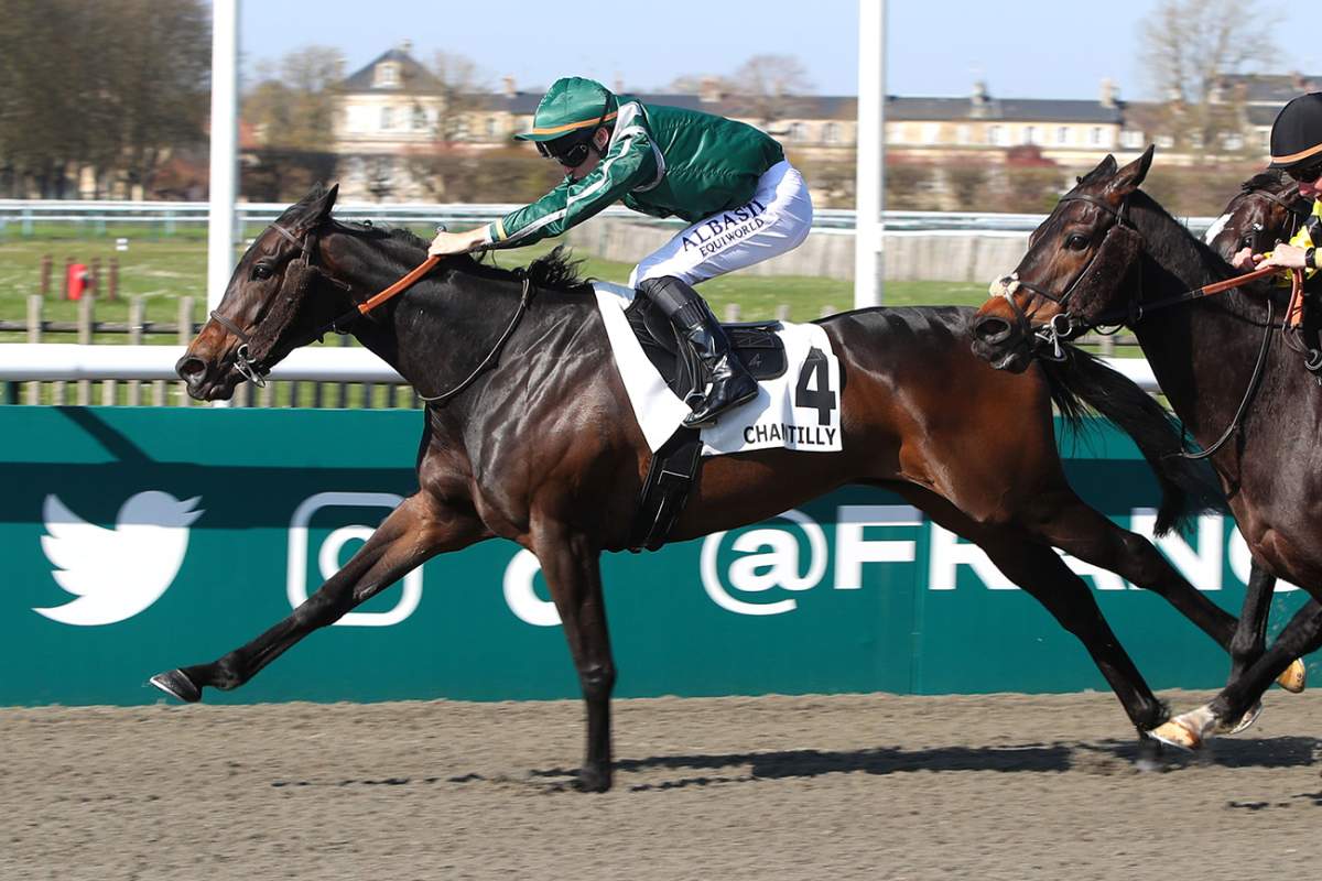 MISS SUPERNOVA - La fiche CANALTURF du cheval, performances pmu ...