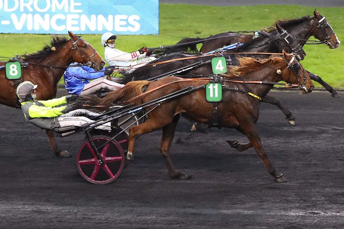 Pronostic gratuit du PRIX TENOR DE BAUNE (PRIX TRANSPORTS GILLOIS) - 8 ...