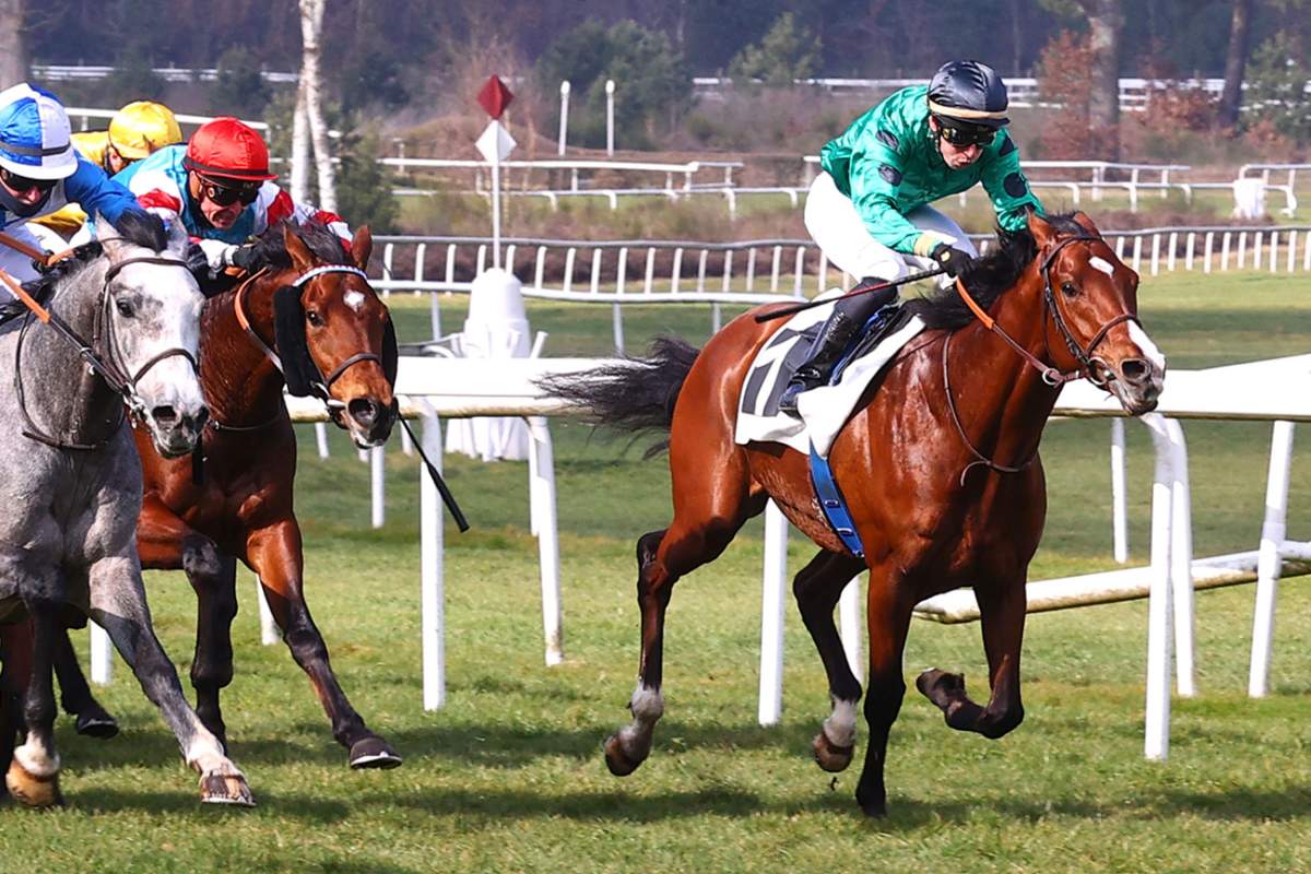 LIBYAN KNIGHT - La fiche CANALTURF du cheval, performances pmu, pédigré, évolution de la cote en ...