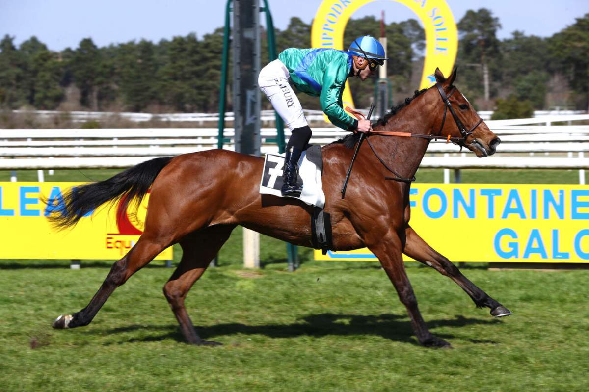 Pronostic gratuit du PRIX DU LOUP PENDU - 21 juin 2026 par Canalturf