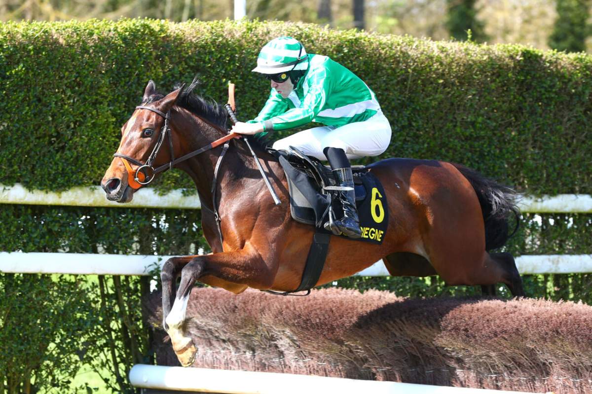 PRINCESS INGA - La fiche CANALTURF du cheval, performances pmu, pédigré ...