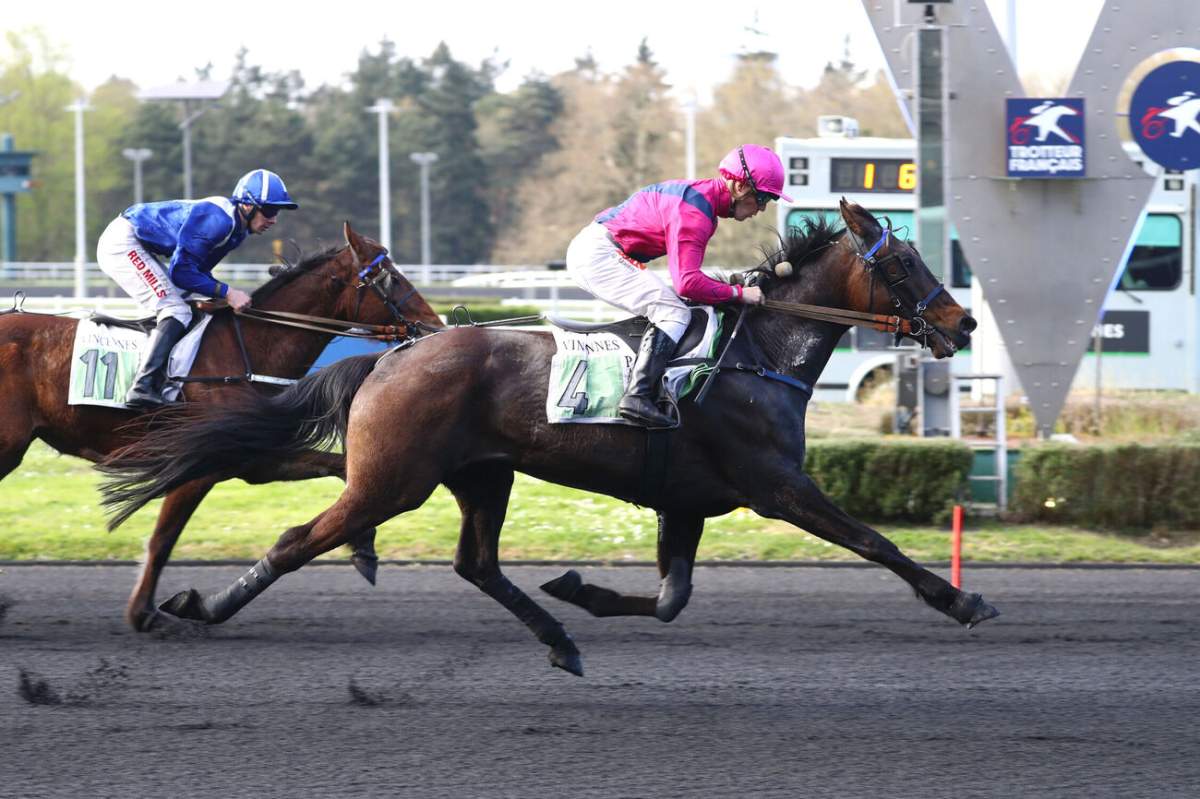 KRACK CLEA - La fiche CANALTURF du cheval, performances pmu, pédigré ...