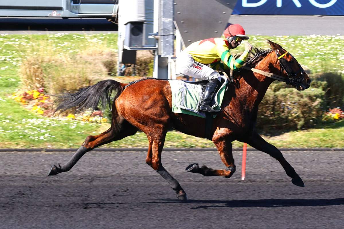 Arrivée du Prix Paul Delanoë (Gr.III), mardi, à Vincennes. IMPALA DE ...