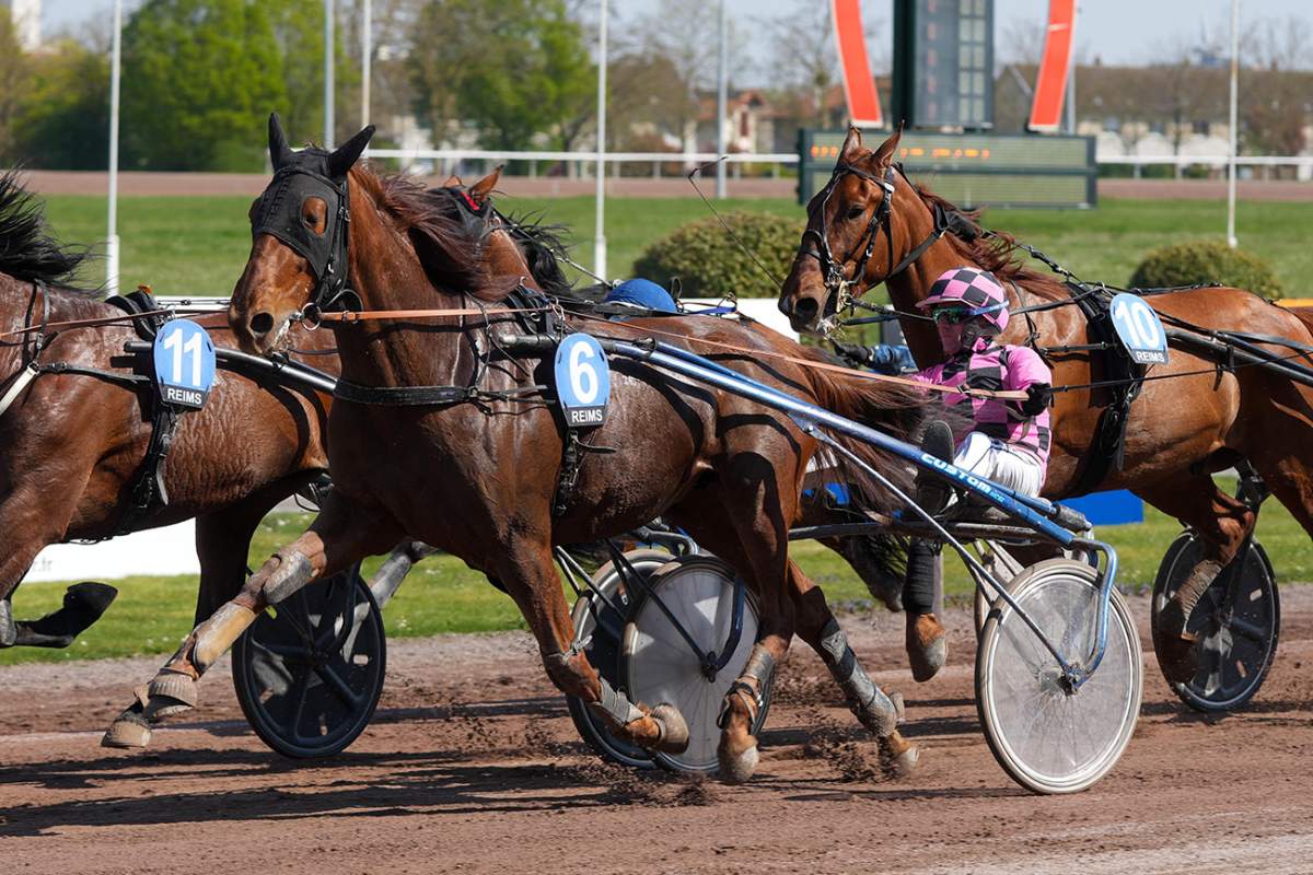 Pronostic Quinté PMU du PRIX DE PREUILLY du 20 mars 2026