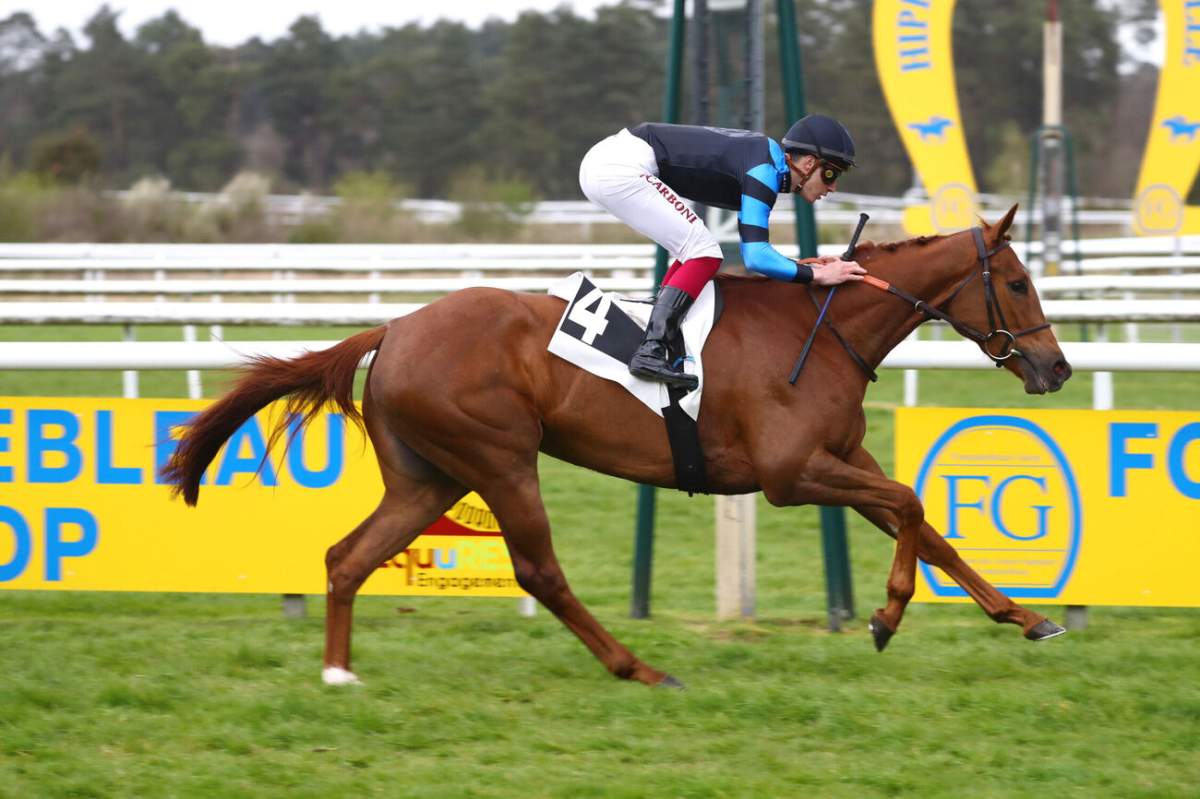 Pronostic Quinté+PMU Prix Genybet Super Top 5 - Prix de la Côte Fleurie ...