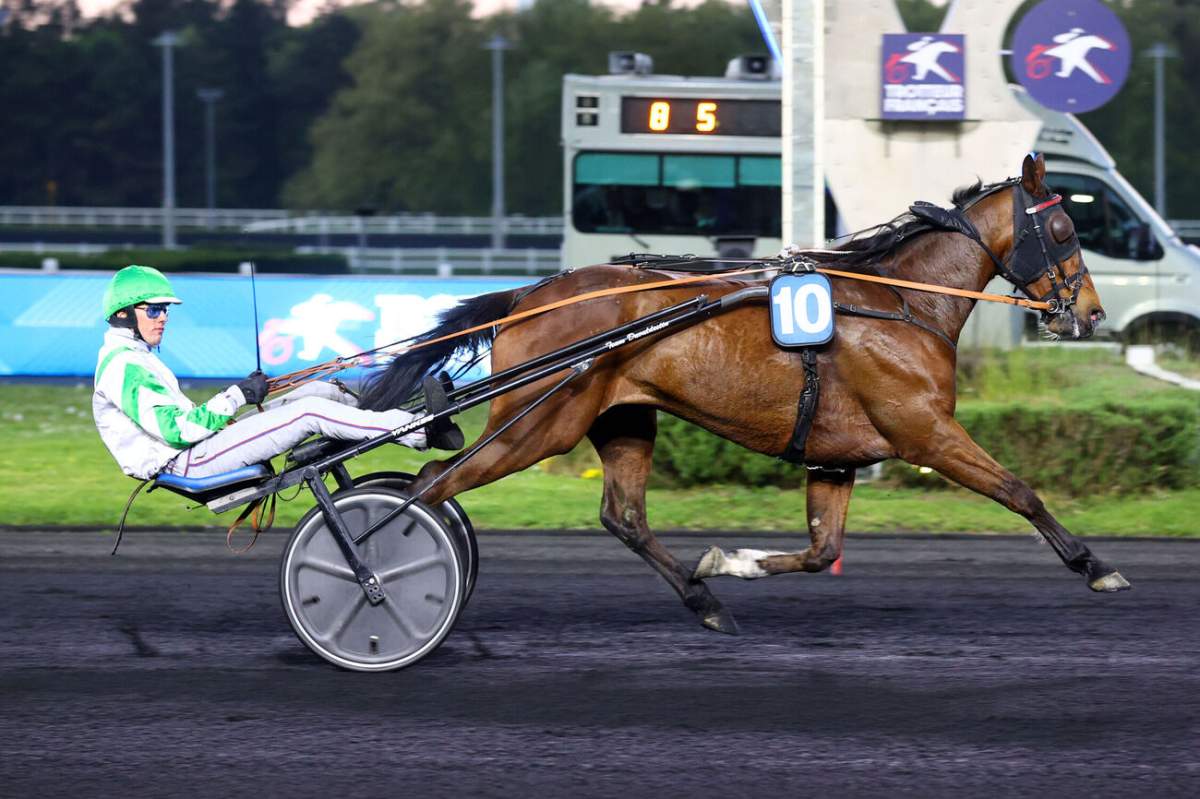 Pronostic Quinté+ PMU Prix de Beaune, mercredi 20 août à Vincennes ...