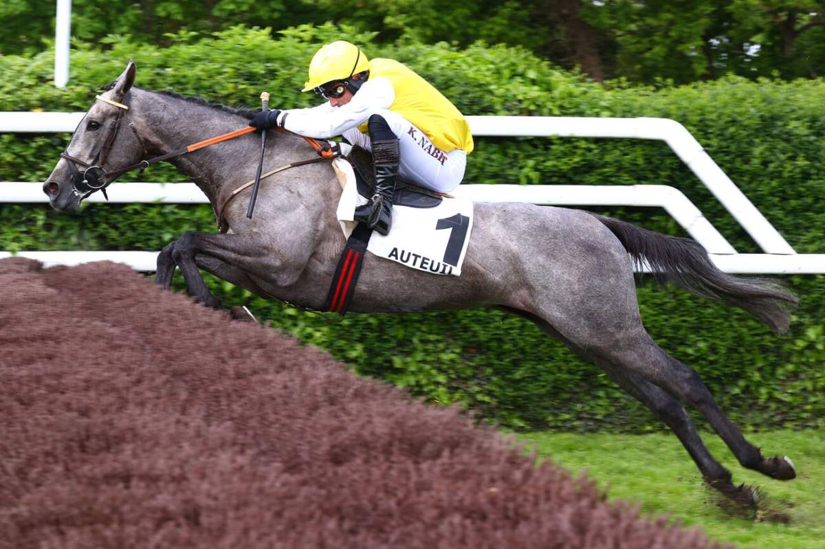 SUBLIMA - La fiche CANALTURF du cheval, performances pmu, pédigré ...