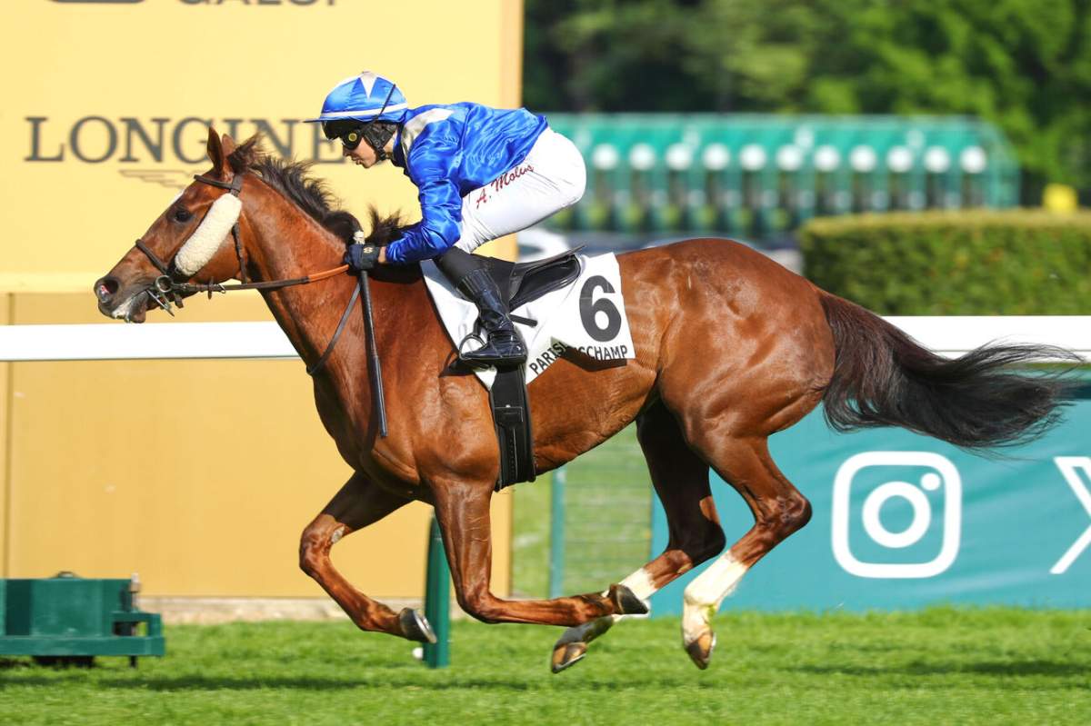 Pronostic Quinté PMU du PRIX MAGIC NIGHT du 19 mai 2025