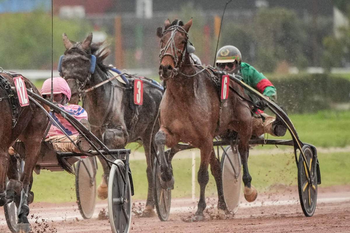 Pronostic gratuit du PRIX DE JORT - 27 mai 2026 par Canalturf