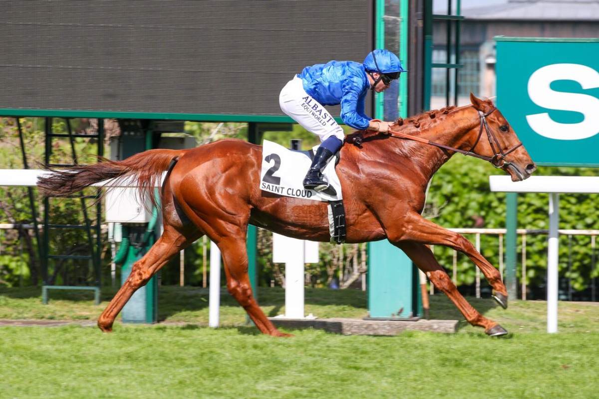 Pronostic pmu Singapore Pools Prix de Ris-Orangis (Gr.III), dimanche 6 ...