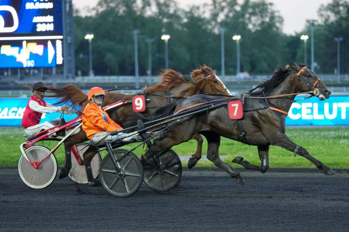 Pronostic gratuit du PRIX POLLUX - 22 mai 2026 par Canalturf