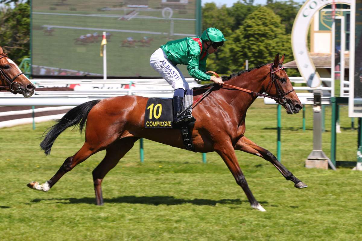 Pronostic Pmu Prix Joubert (Listed-race), jeudi 4 septembre, à ...