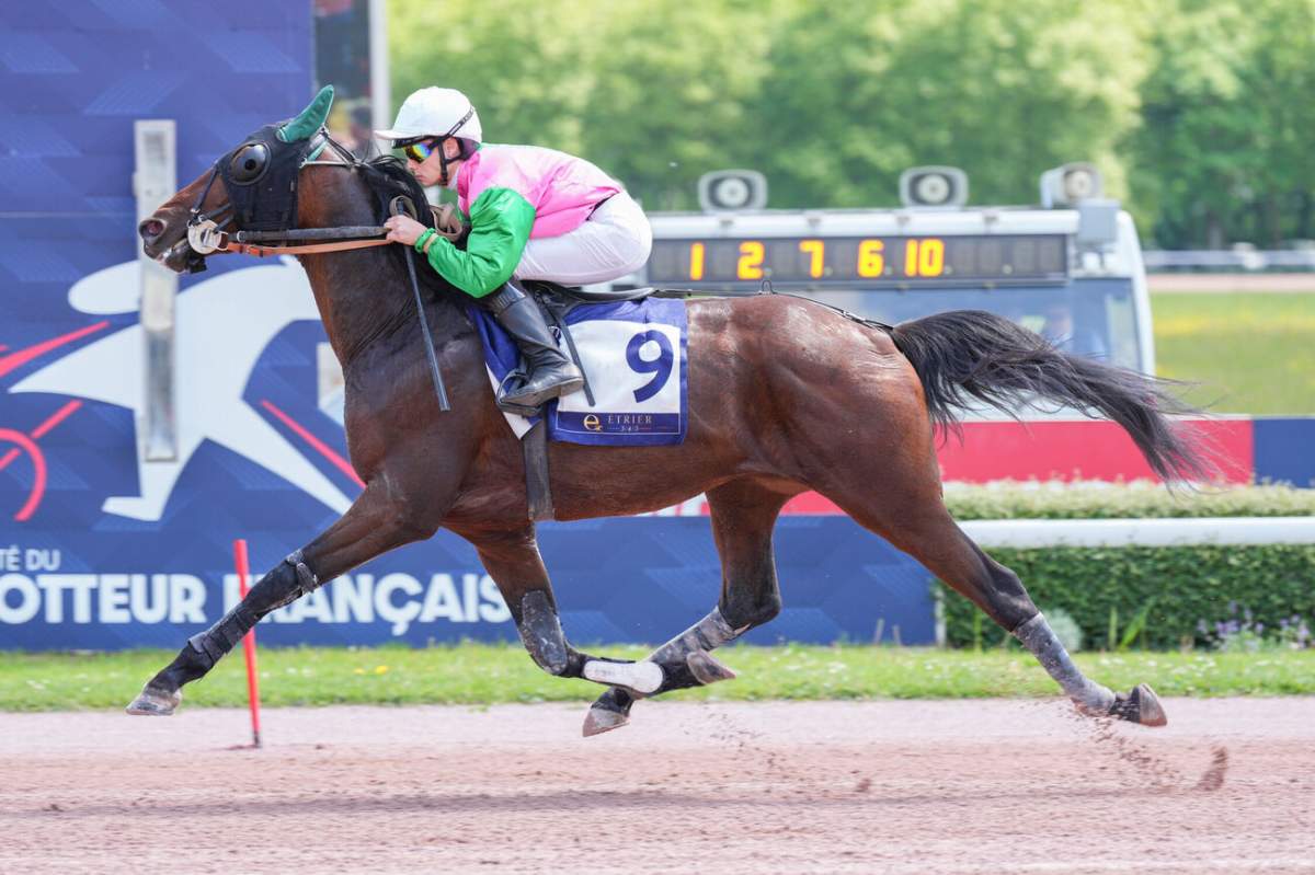 Pronostic gratuit du PRIX RAOUL BALLIERE - 29 nov. 2025 par Canalturf