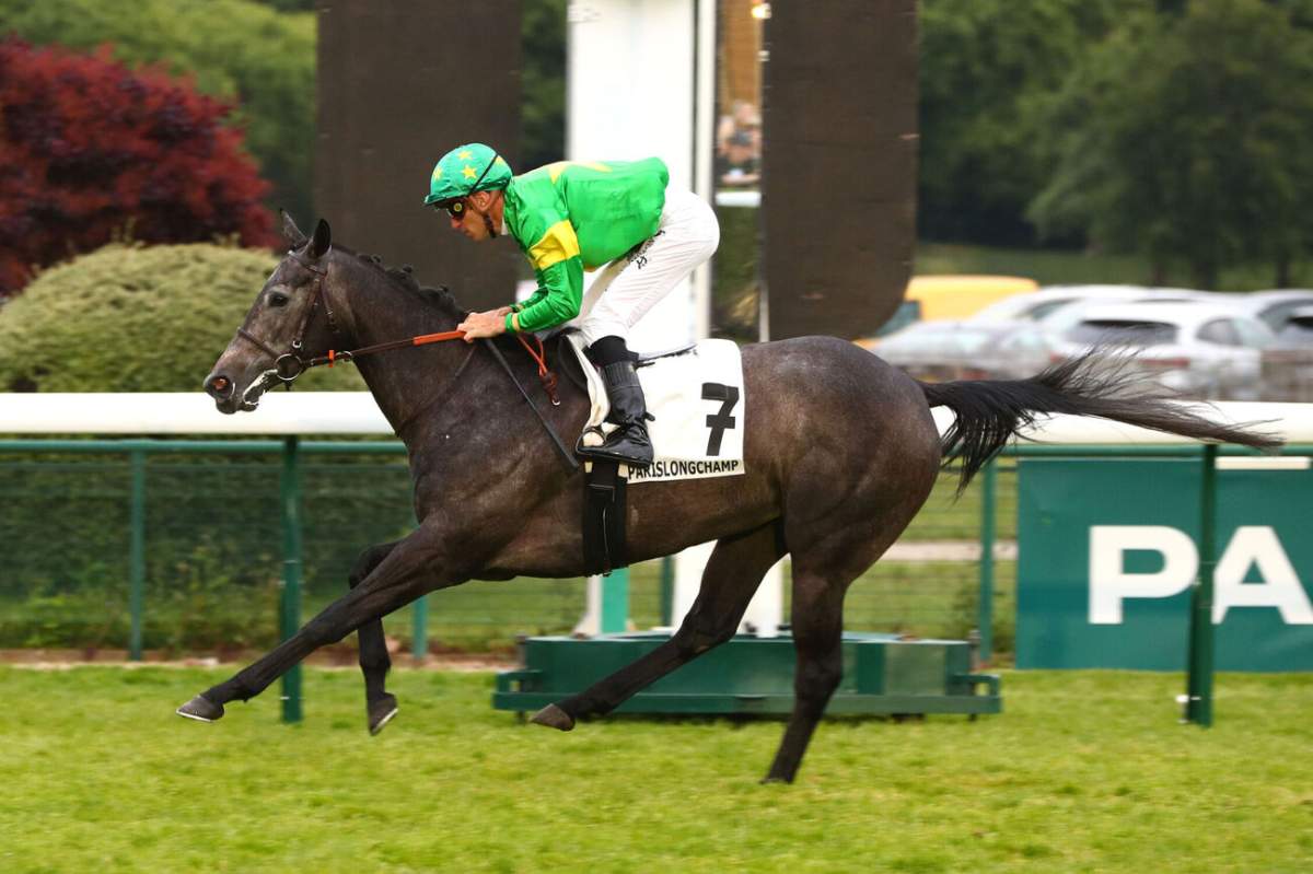 Résultat et rapports Quinté+ Pmu Prix Du Bel Air à LONGCHAMP le 15/05 ...