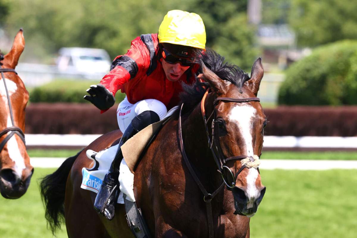 Prix Alain du Breil (Gr.I), dimanche à Auteuil (R-1). Les hurdle-racers ...