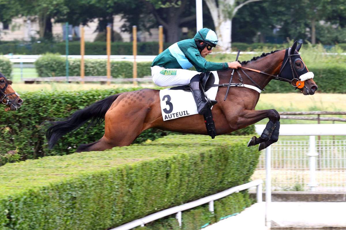 LISETTE D'ESTRUVAL - La fiche CANALTURF du cheval, performances pmu ...