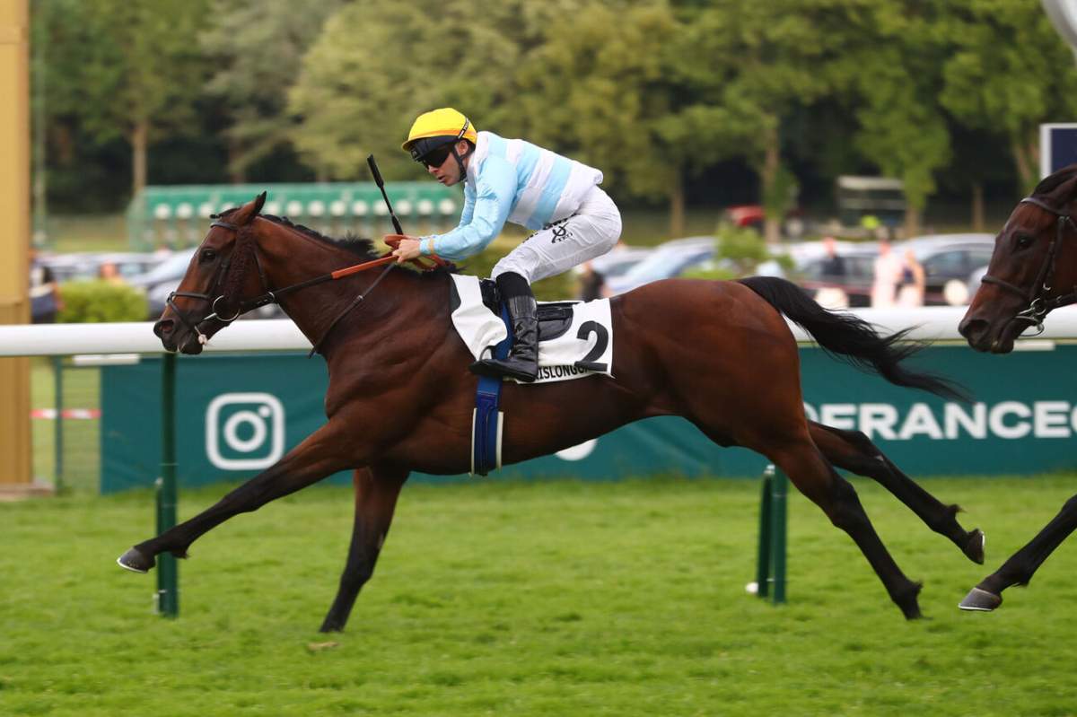 Pronostic Quinté PMU du SUPER HANDICAP DE LA RENTREE du 14 sept. 2025