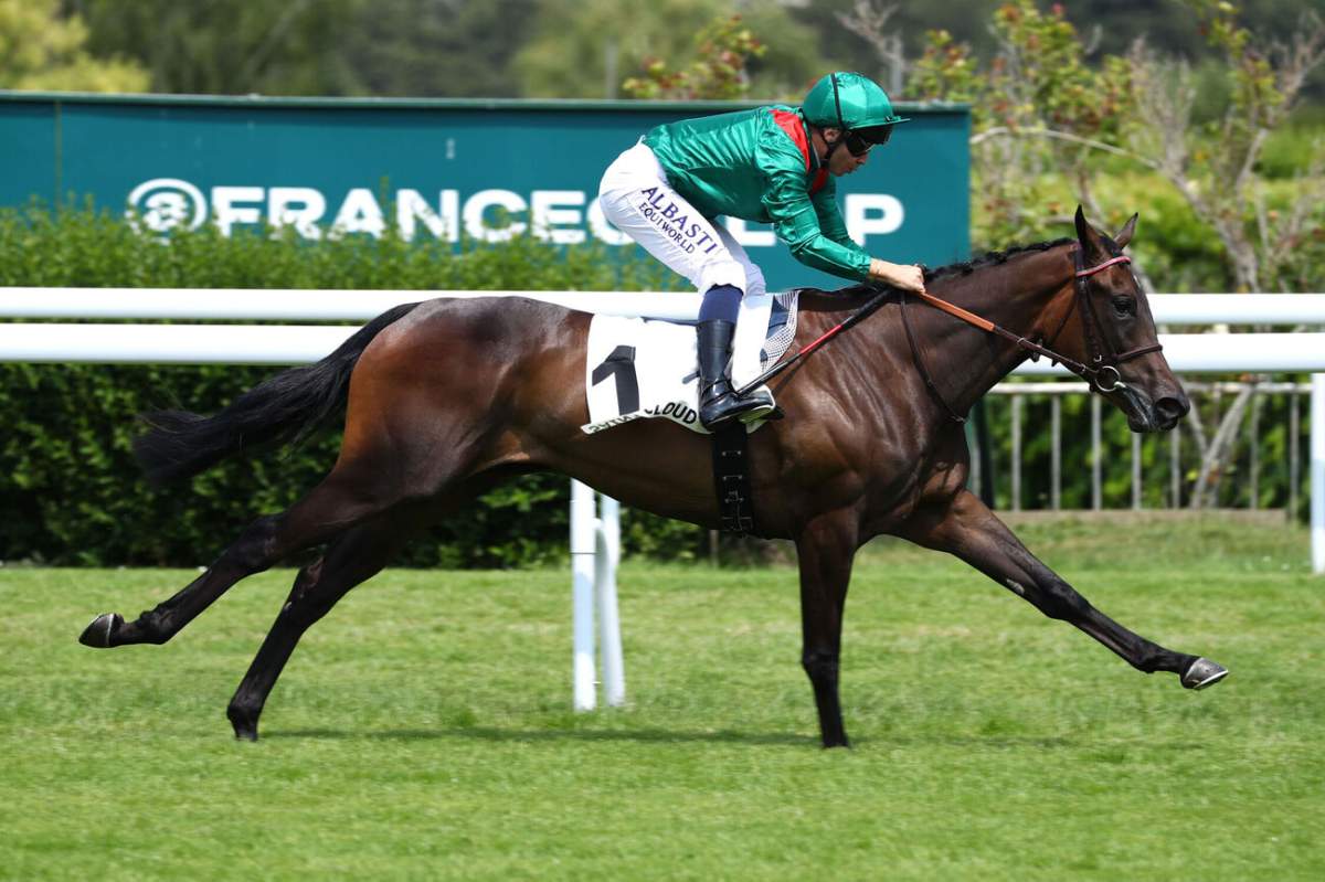 NARISSA - La fiche CANALTURF du cheval, performances pmu, pédigré ...