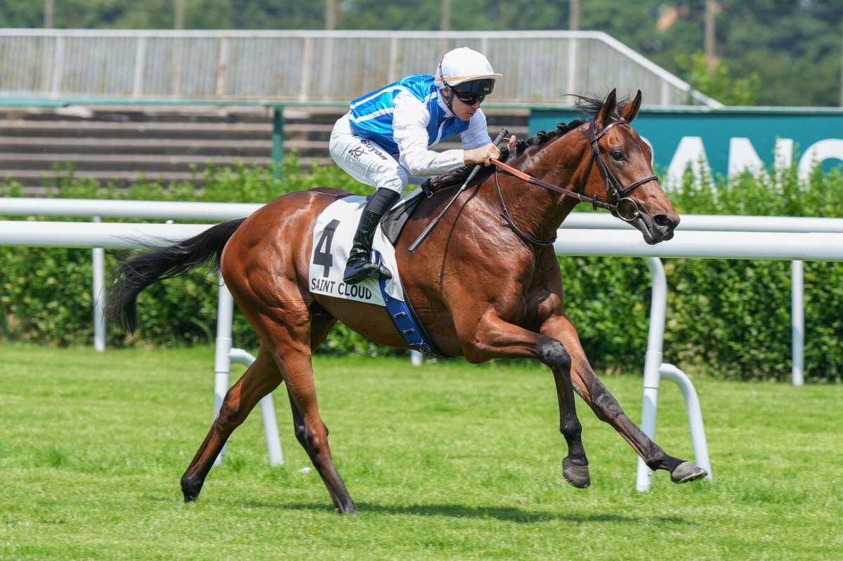 Prix de Fontainebleau (Gr.III), dimanche à ParisLongchamp (R-1 ...
