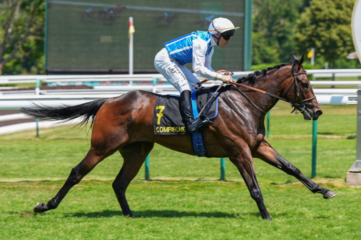 Pronostic gratuit du PRIX LOUIS GAUTIER VIGNAL - 12 janv. 2026 par ...