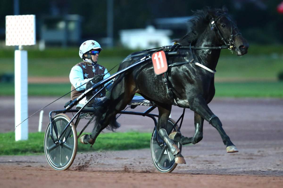 KABALA QUICK - La fiche CANALTURF du cheval, performances pmu, pédigré ...