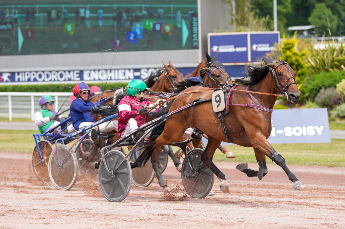 LADY STARLIGHT - La fiche CANALTURF du cheval, performances pmu ...