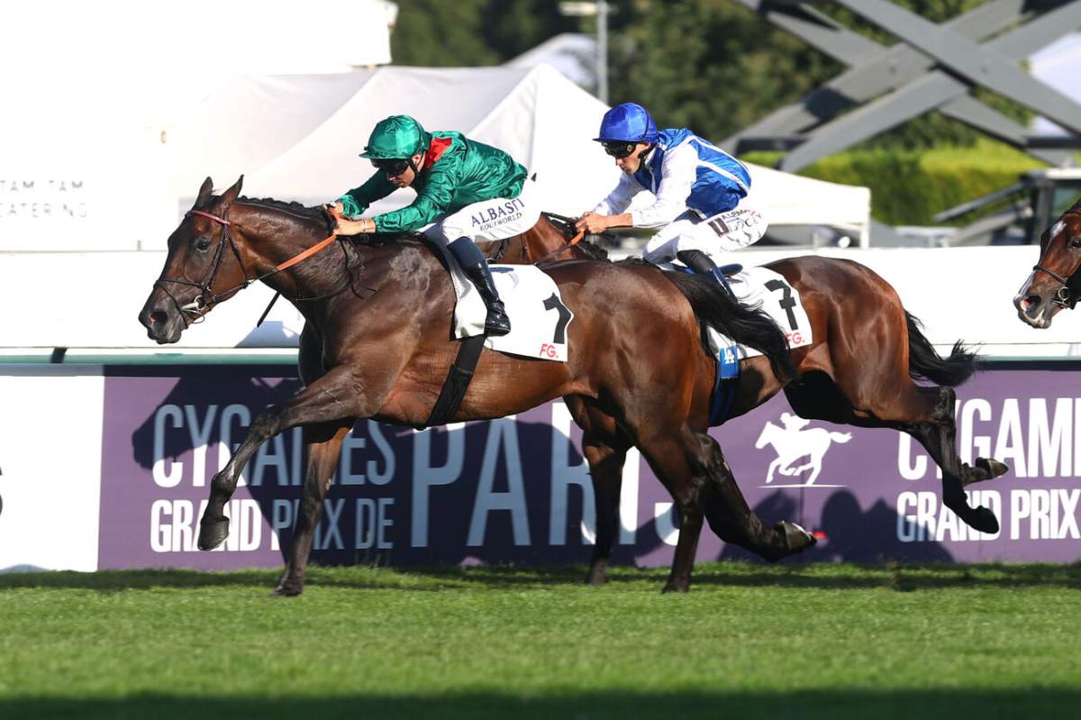 Les actualités hippiques et PMU : articles presse turf - CANAL TURF