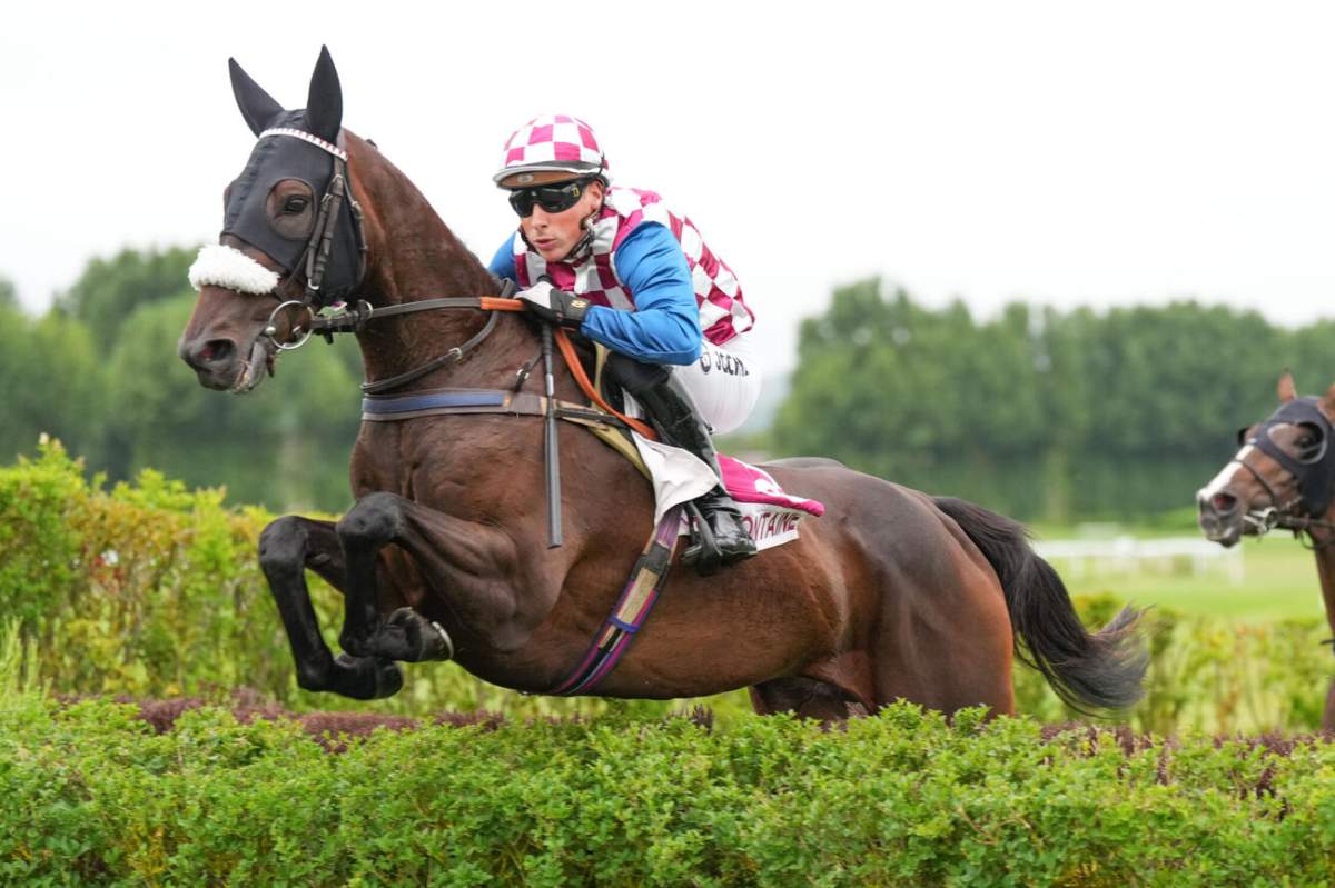 Pronostic gratuit du PRIX PAUL TAVERNIER - 6 nov. 2025 par Canalturf