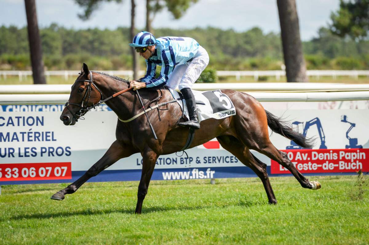 Arrivée PMU Critérium du Bequet - Ventes Osarus (Listed Race), dimanche ...