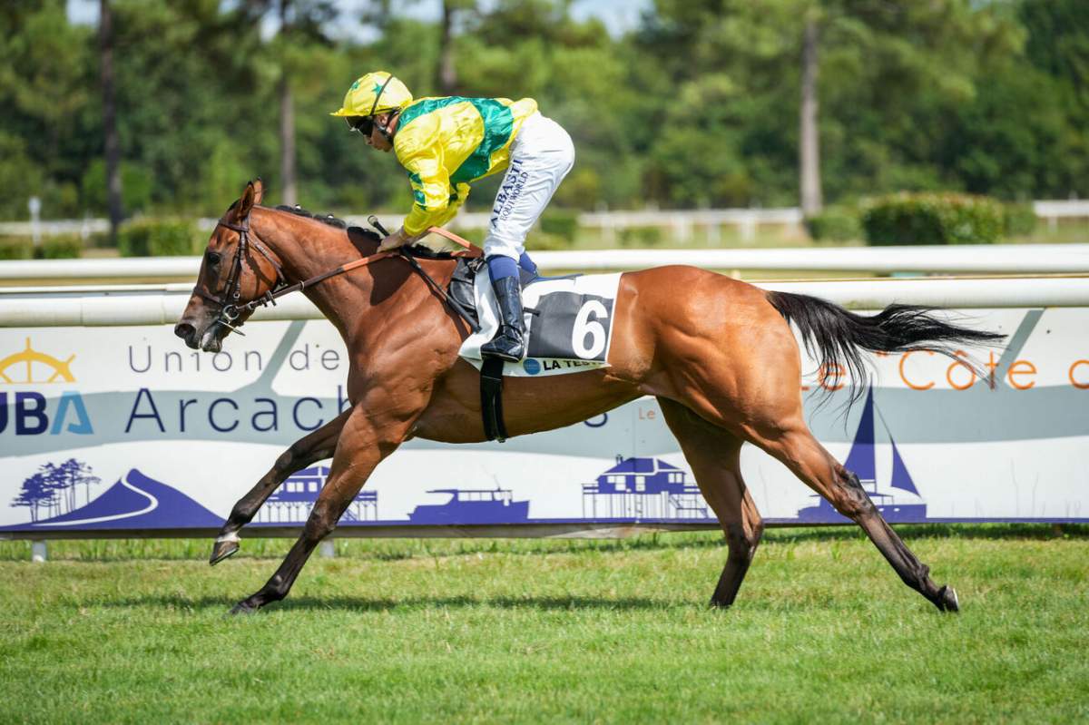 Arrivée PMU Prix la Sorellina (Listed Race), dimanche à La Teste-de ...