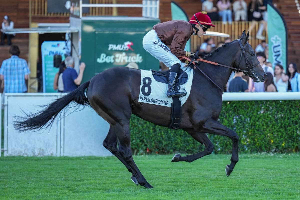 Pronostic quinté+ Prix Teddy, jeudi à Saint-Cloud. KRASKHOV, obligé d'y ...