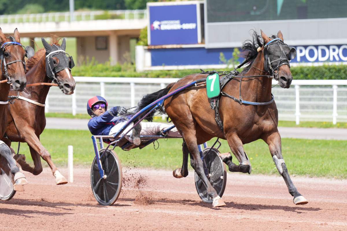 Pronostic gratuit du PRIX DE DIJON - 25 août 2025 par Canalturf