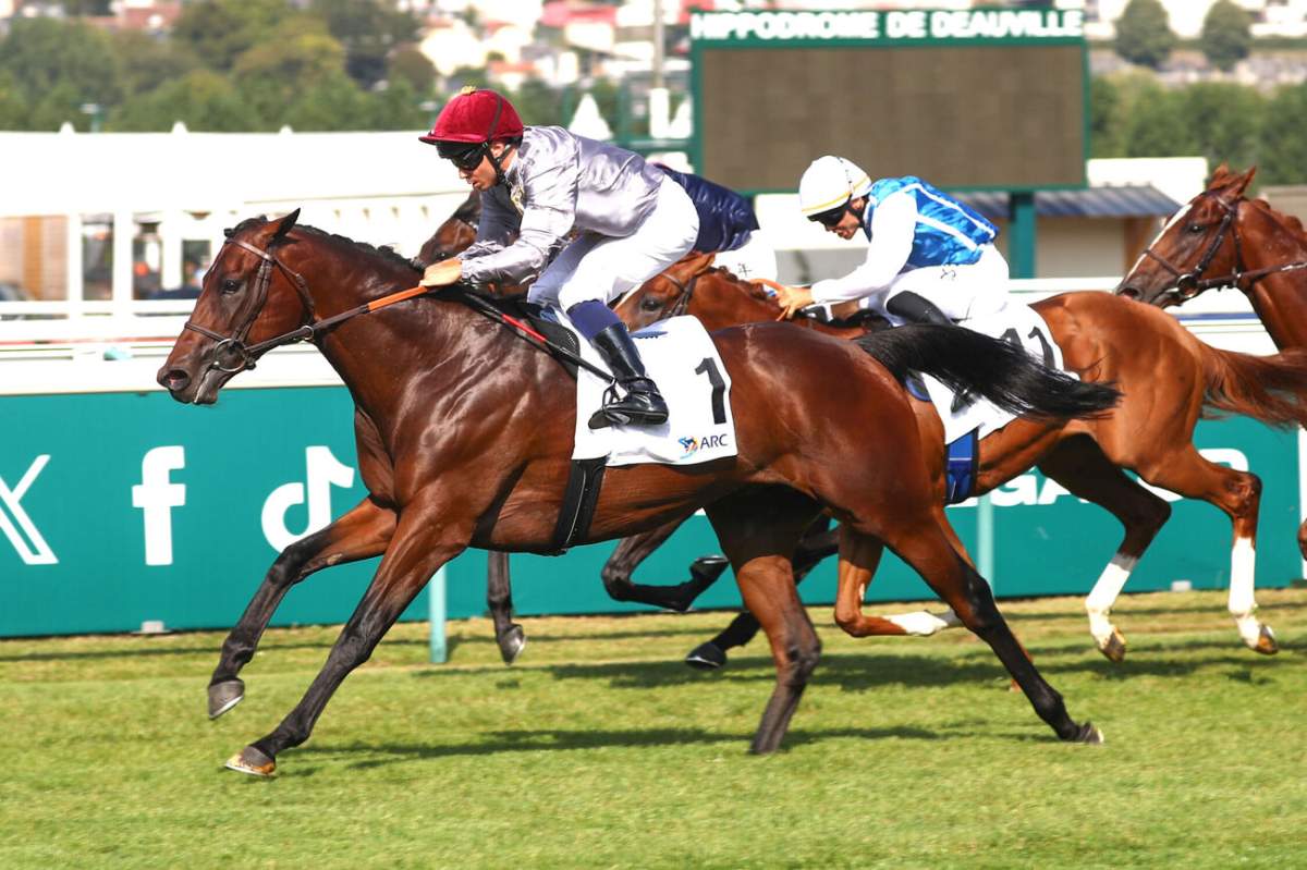 Pronostic gratuit du PRIX BERTRAND DU BREUIL LONGINES - 14 juin 2026 ...